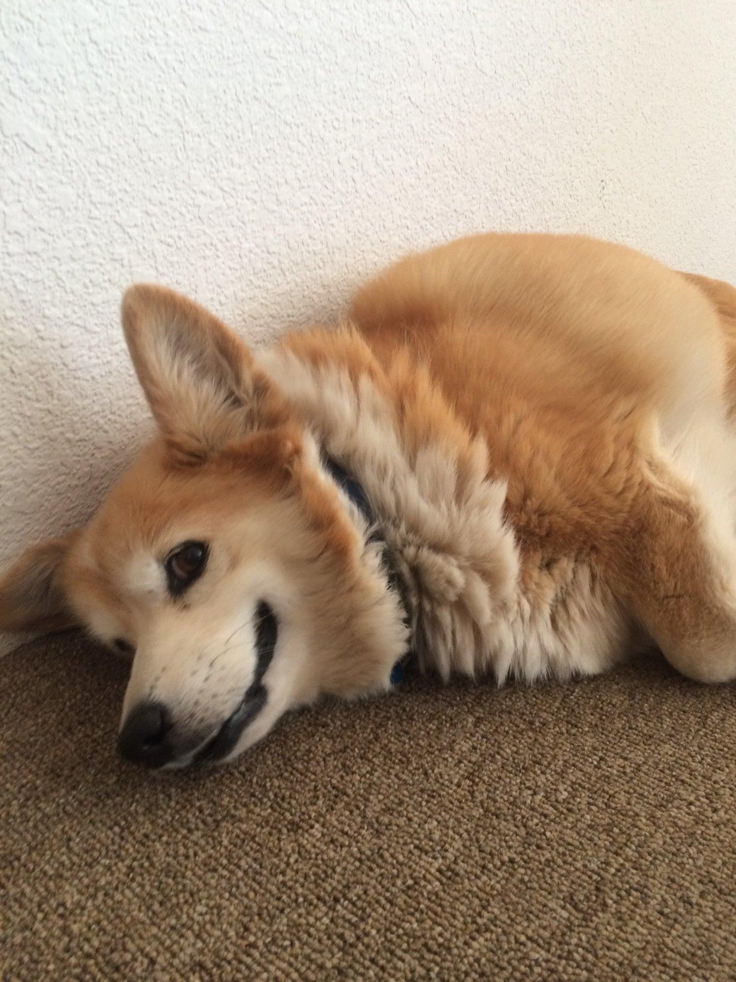 5 Things You Didn’t Know About Working at Kimes Ranch | Kimes Ranch